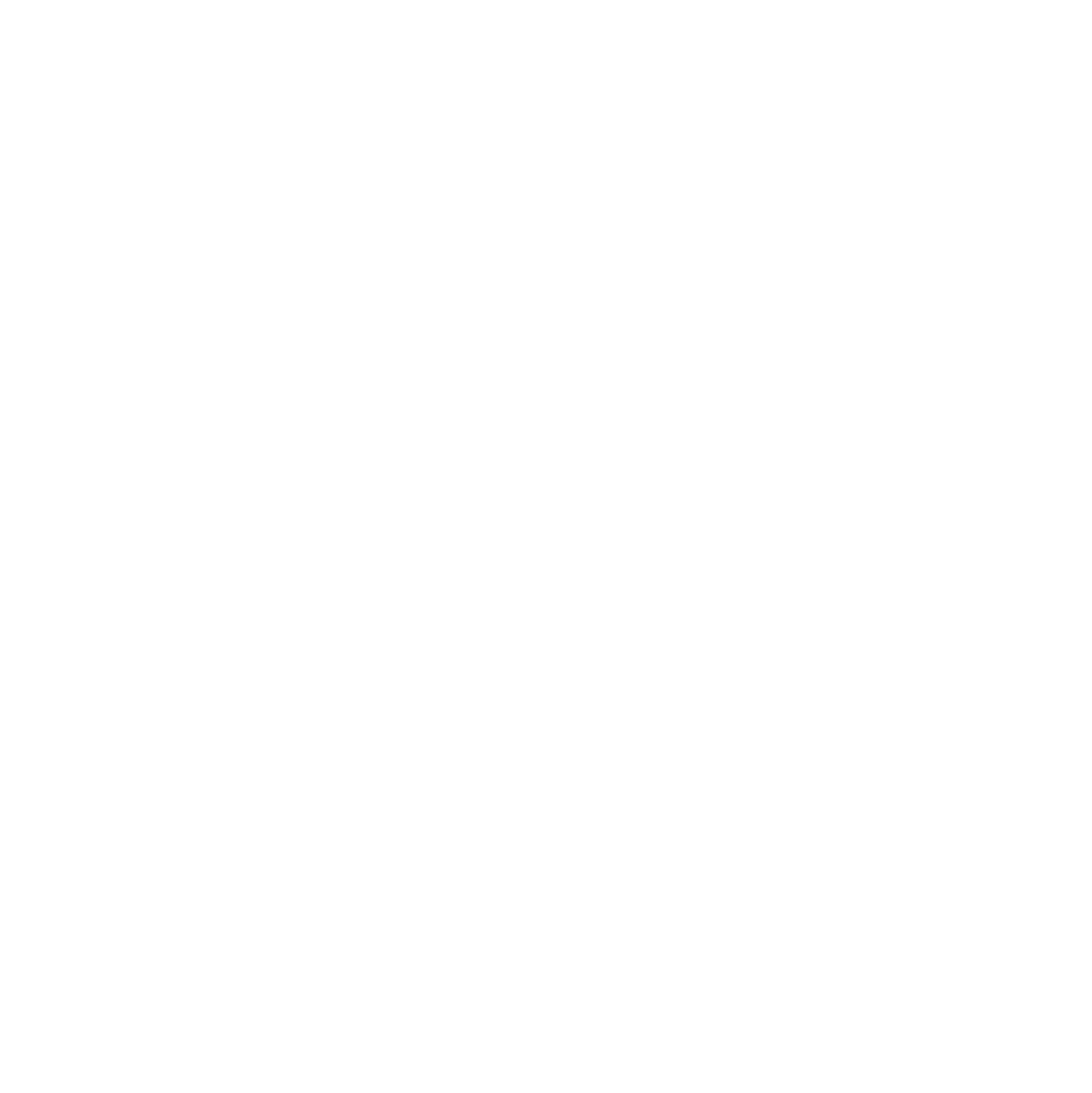 Karnavati University