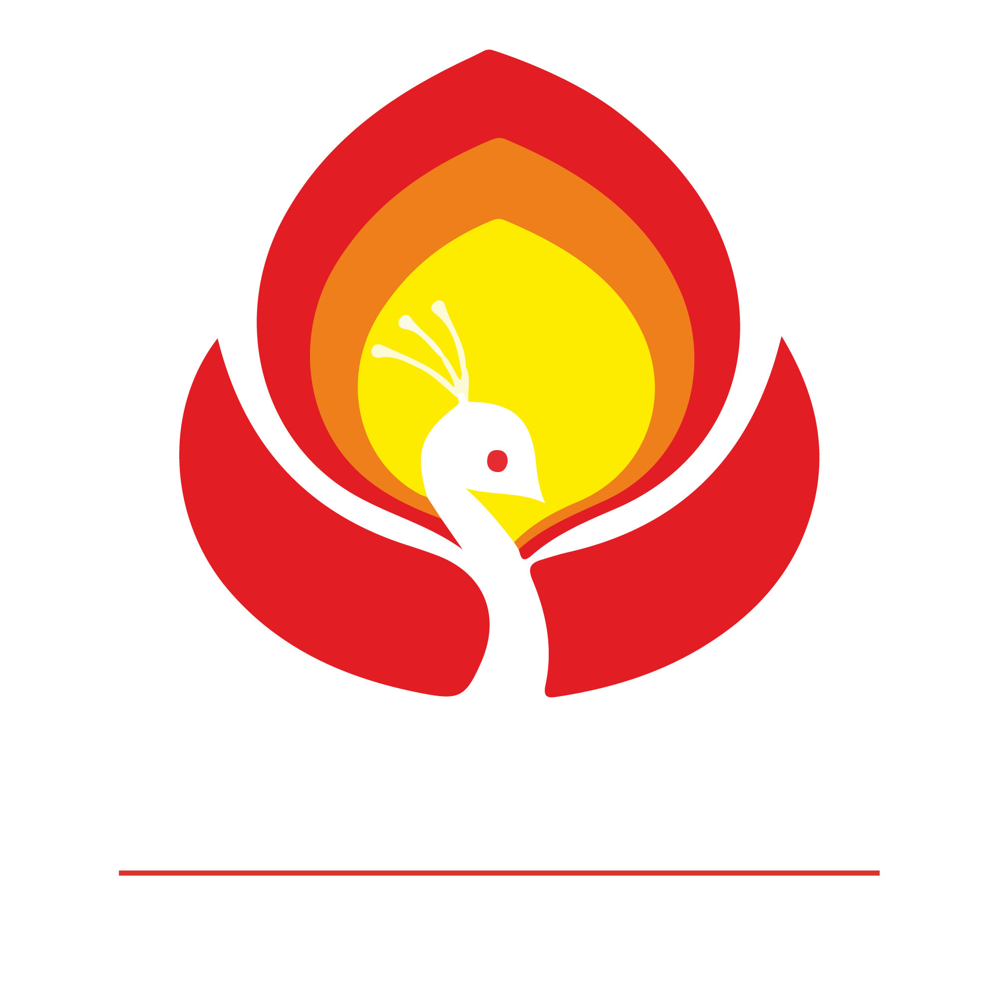 Karnavati University